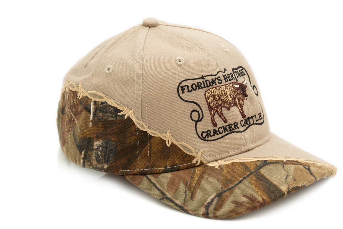Cracker Cattle for Sale, St. Augustine, Jacksonville, FL